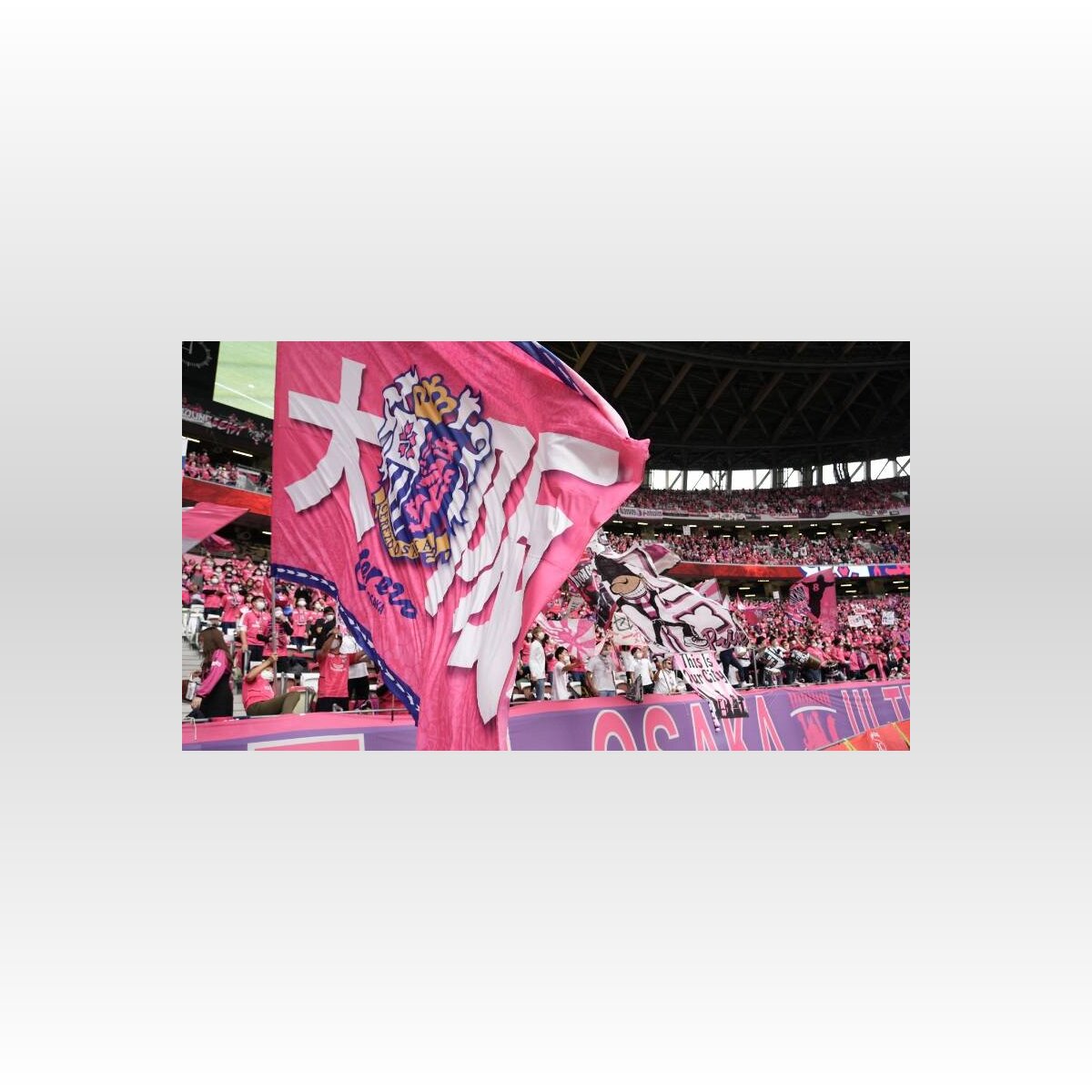 横浜FC戦でも複数失点…セレッソ大阪キム・ジンヒョンにスタメン 横浜FC戦でも複数失点…セレッソ大阪キム・ジンヒョンにスタメン
